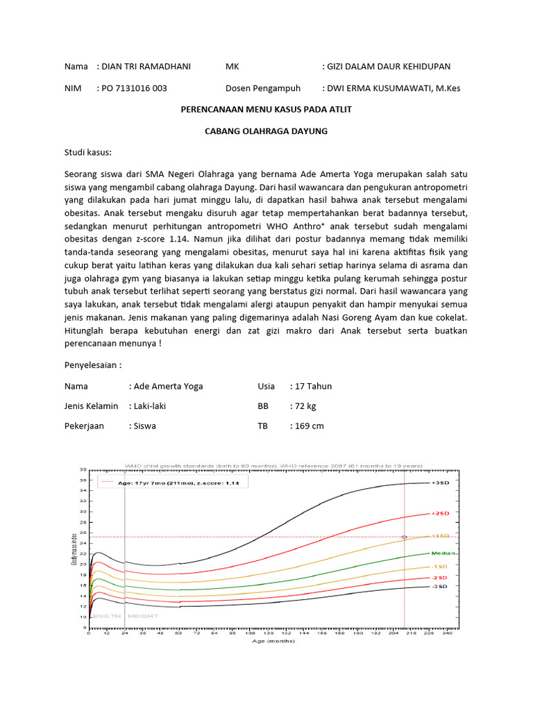 Perencanaan Menu Gizi Atlet Dayung | PDF