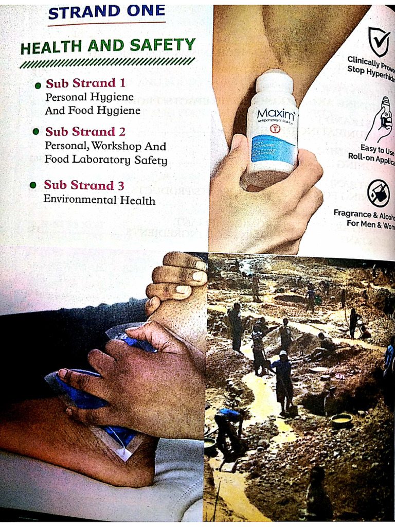 B8 Career Technology Strand 1 | PDF