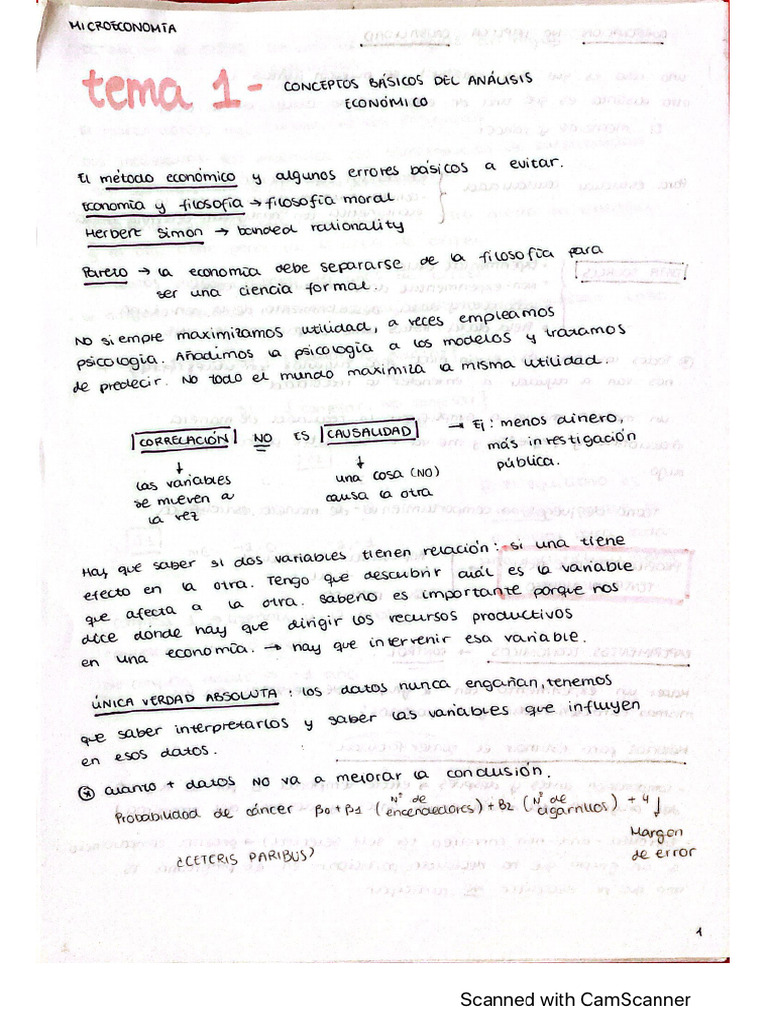 Notas y Ejercicios Micro | PDF