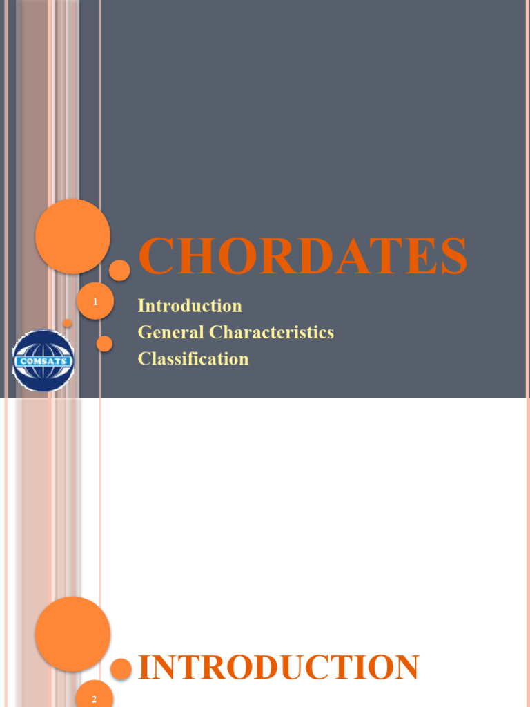 Lecture 03 - Classification of Chordates | PDF | Vertebrates | Gill