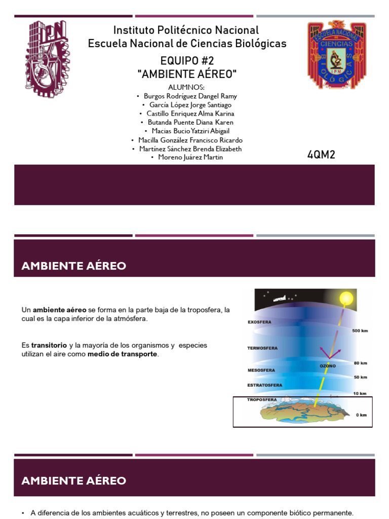 Ambiente Aéreo. | PDF | Entorno natural | Atmósfera