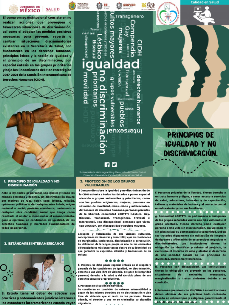 Principios de Igualdad y No Discriminación | PDF | Discriminación | Invalidez
