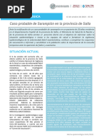 Plan de Acción para La Sostenibilidad de La Eliminación Del Sarampión | PDF | Sarampión | Vacunas