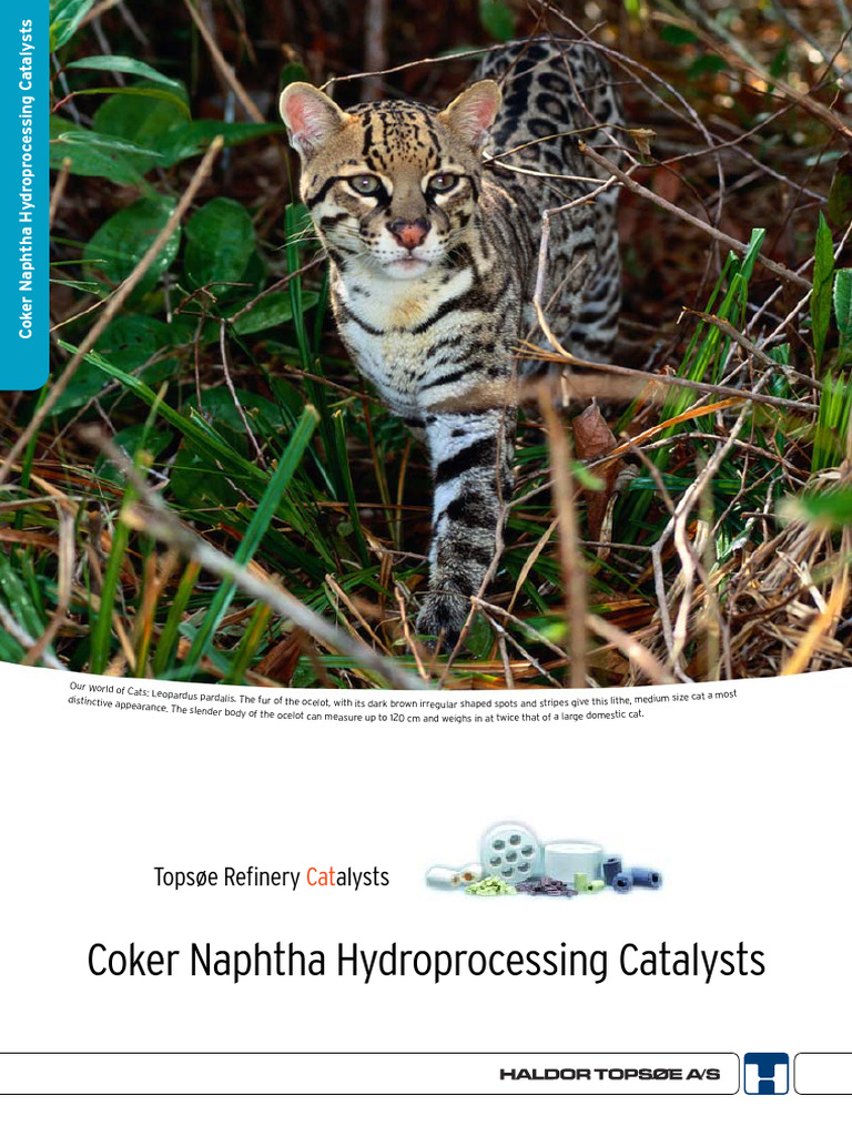 Topsoe Coker Naphtha Hydroprocessing Catalysts | PDF | Silicon Dioxide | Silicon