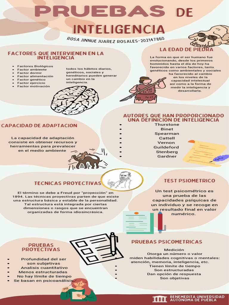 Pruebas de Inteligencia Infografia | PDF | Inteligencia | Psicología cognitiva