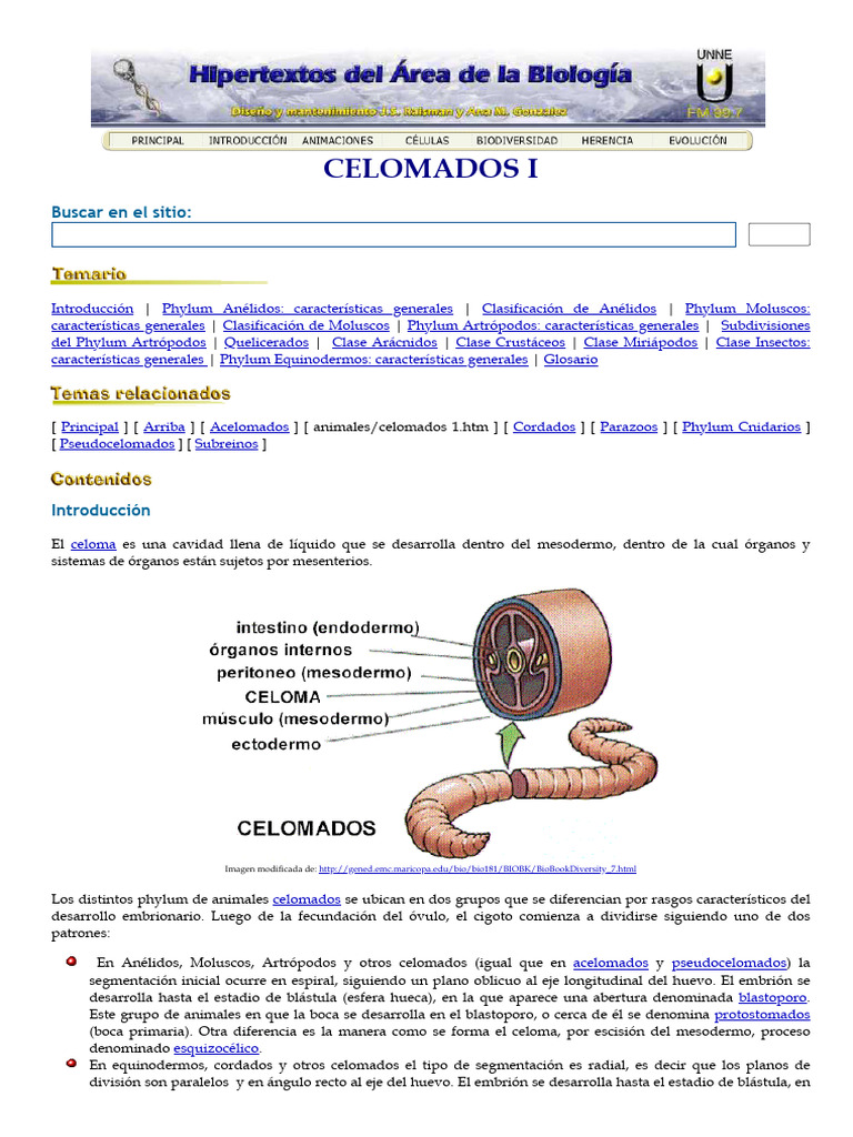 Biologia - Edu.ar - Animales - Celomados 1.htm | PDF | Mosca | Araña