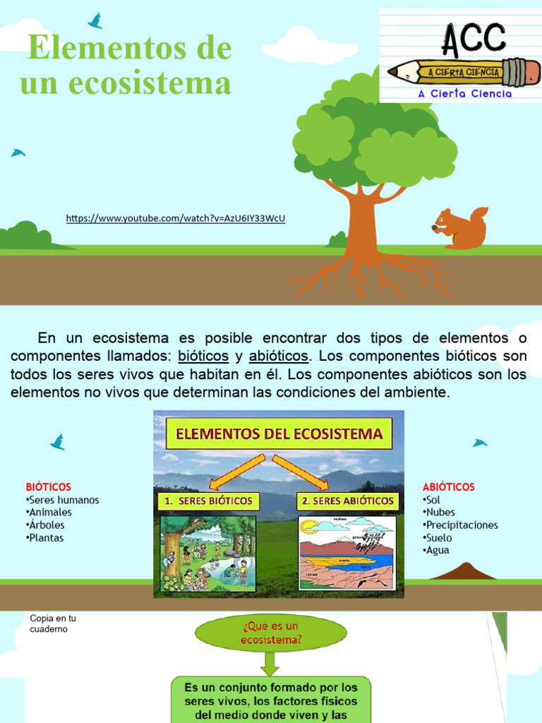 Elementos de Un Ecosistema | PDF