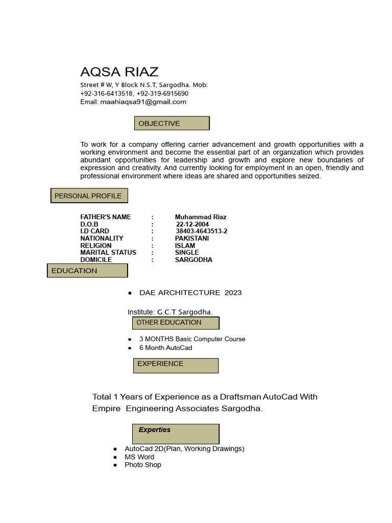 Aqsa CV | PDF Aqsa CV | PDF