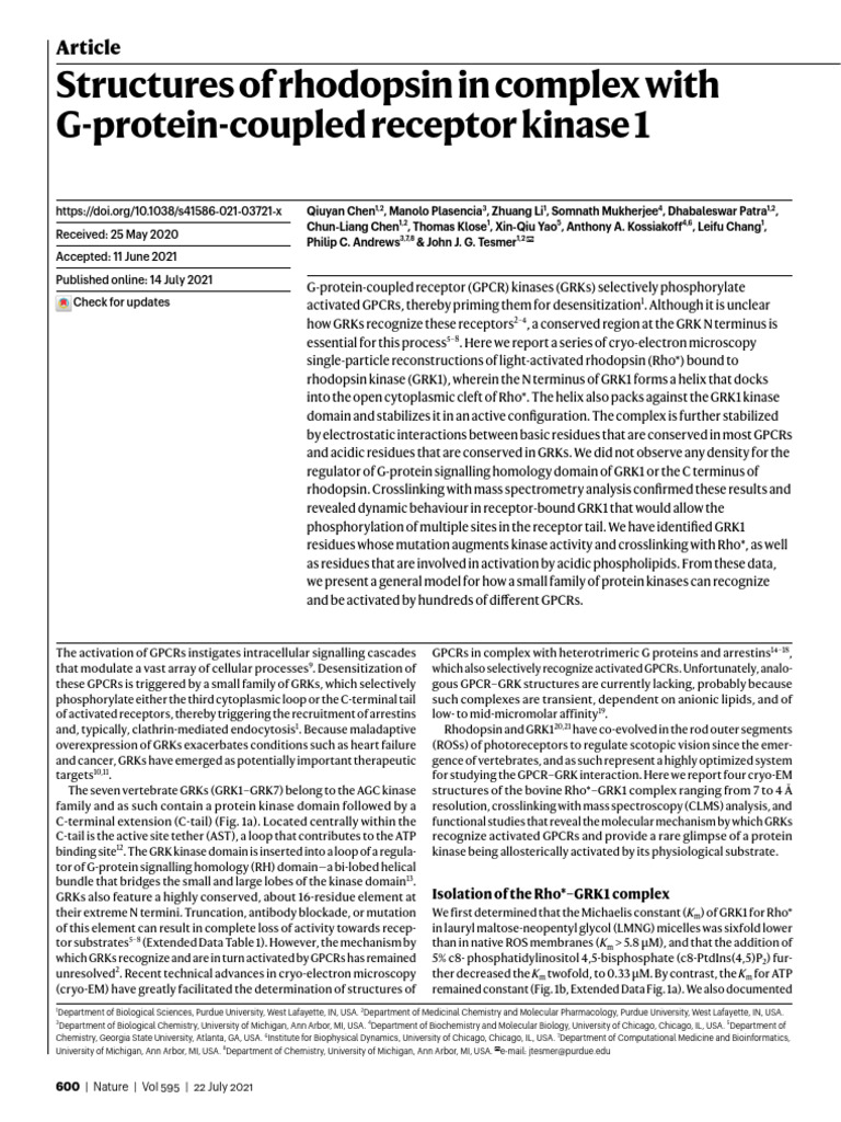 Structures of Rhodopsin in Complex With G-Protein-Coupled Receptor ...