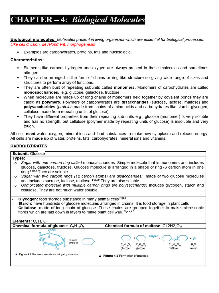 Bio - CH 4.bio Molec - IGCSE | PDF | Carbohydrates | Glucose