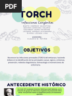 PERFIL TORCH | PDF | El embarazo | Infección