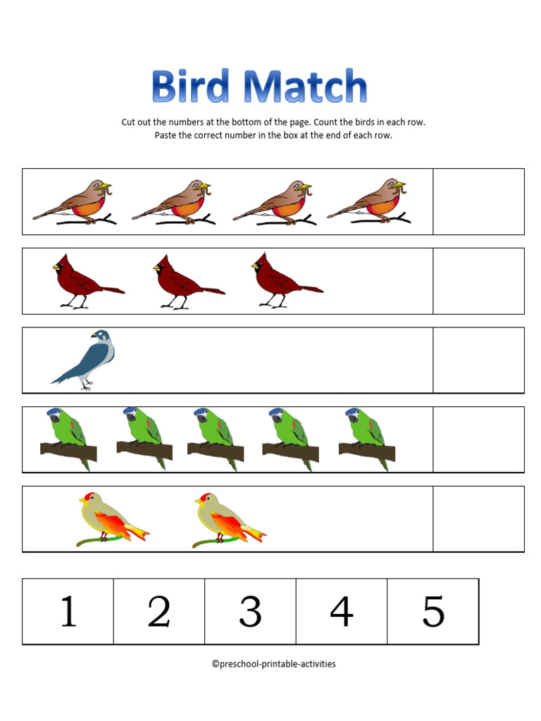 Worksheet Bird Match | PDF