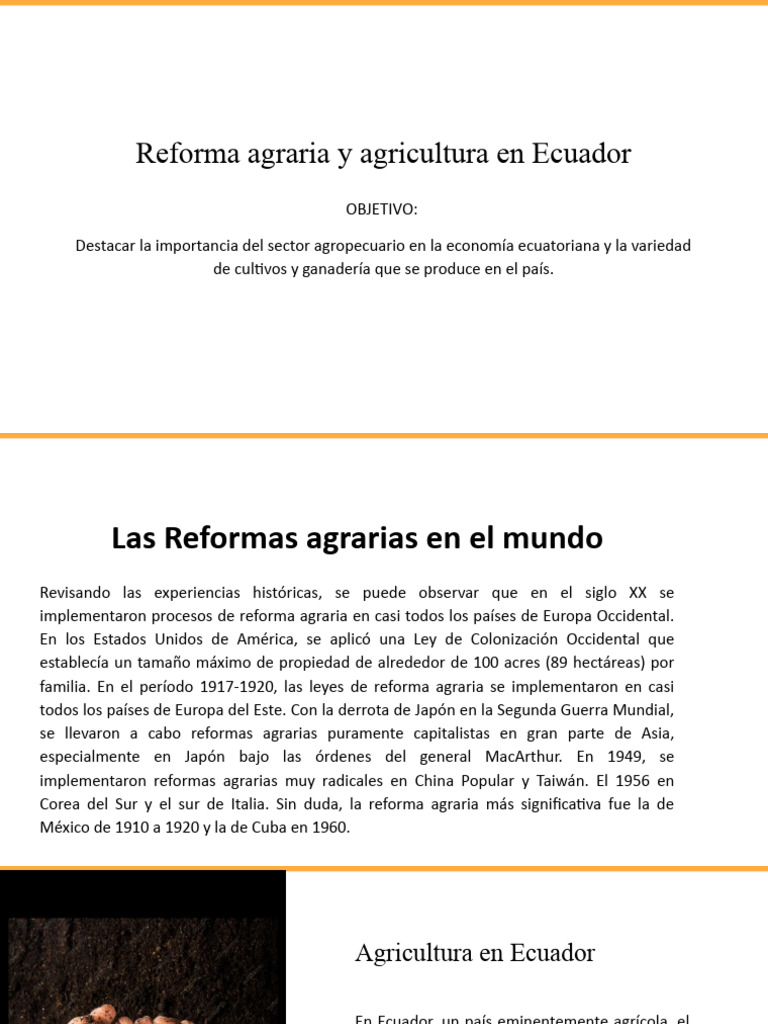 La Reforma Agraria.C | PDF | Agricultura | Reforma agraria