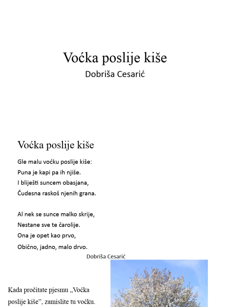 7.5. Voćka Poslije Kiše Dobriša Cesarić | PDF
