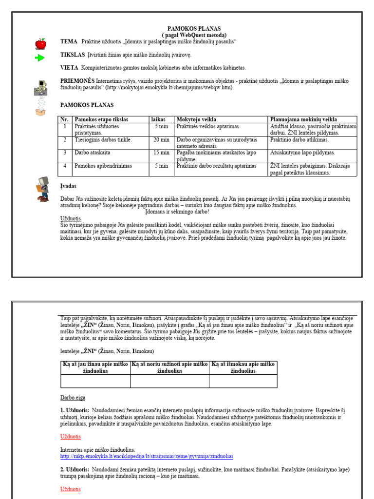 Pamokos Planas | PDF