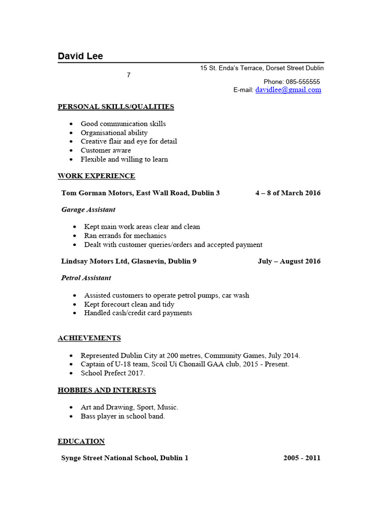 LCVP CV Sample Full | PDF