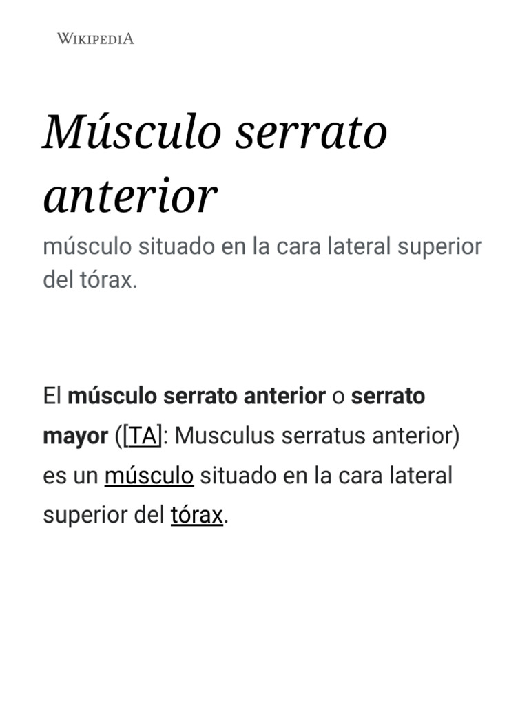 Músculo Serrato Anterior - Wikipedia, La Enciclopedia Libre | PDF ... Músculo Serrato Anterior - Wikipedia, La Enciclopedia Libre | PDF ...