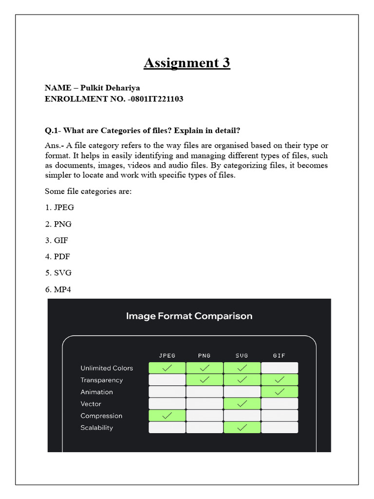 Assignment 3 Pulkit SSL | PDF | Computer File | Utility Software