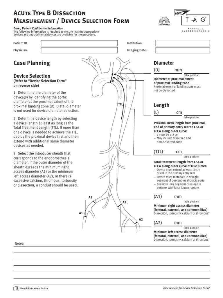 Hoja de Medición y Planeación TAA (Disección) | PDF | Medical ...