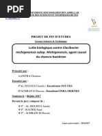 Tableau de dilution de l'alcool | PDF