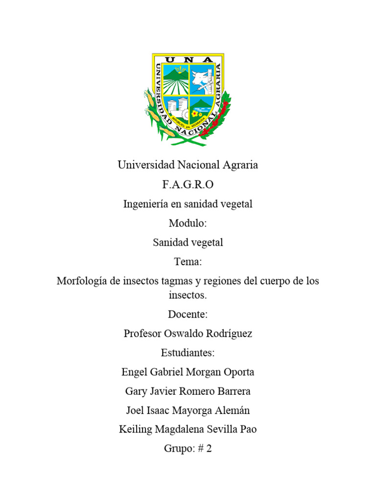 Morfología y Tagmas de Insectos | PDF | Insectos | Abdomen