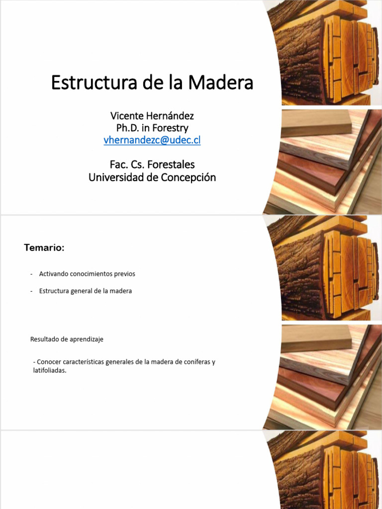 Anatomia de La Madera | PDF | Tallo de la planta | Madera