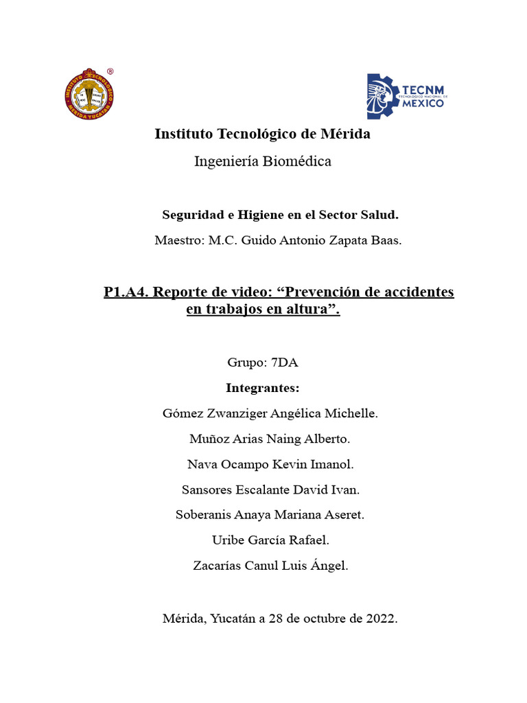 P1.A4. ReportePAT - AlturaSHSS - 7DA - EQ2 | PDF