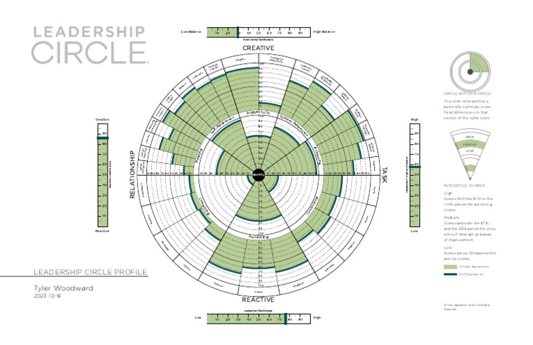 Leadership Circle Report | PDF