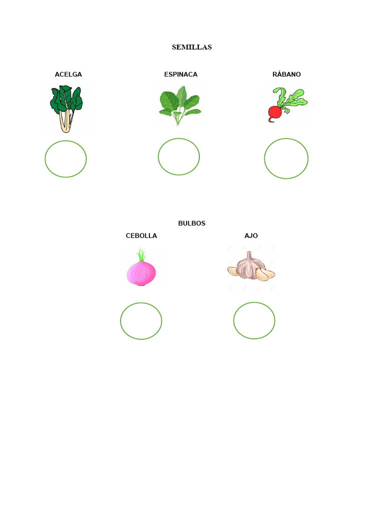 Semillas y Bulbos | PDF