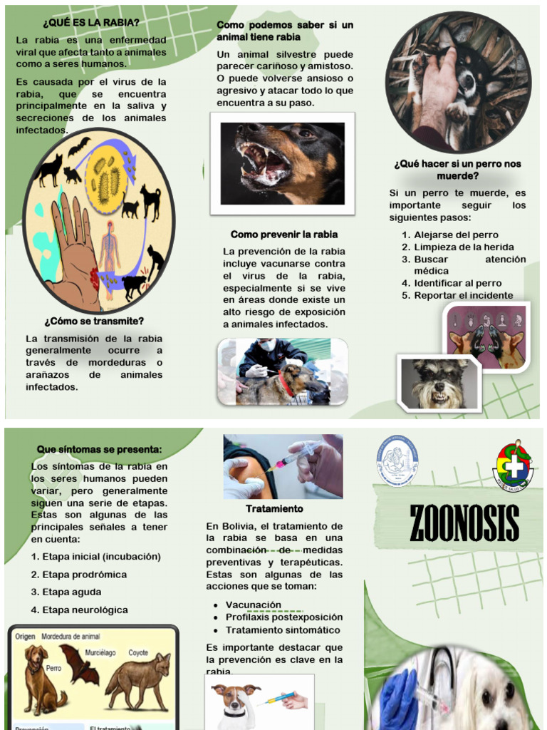 ZOONOSIS | PDF | Rabia | Epidemiología