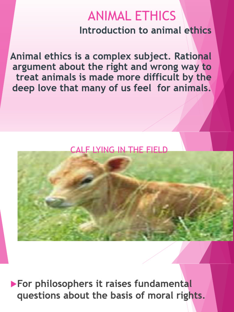 Animal Ethics PPT Report | PDF | Animal Rights | Applied Philosophy