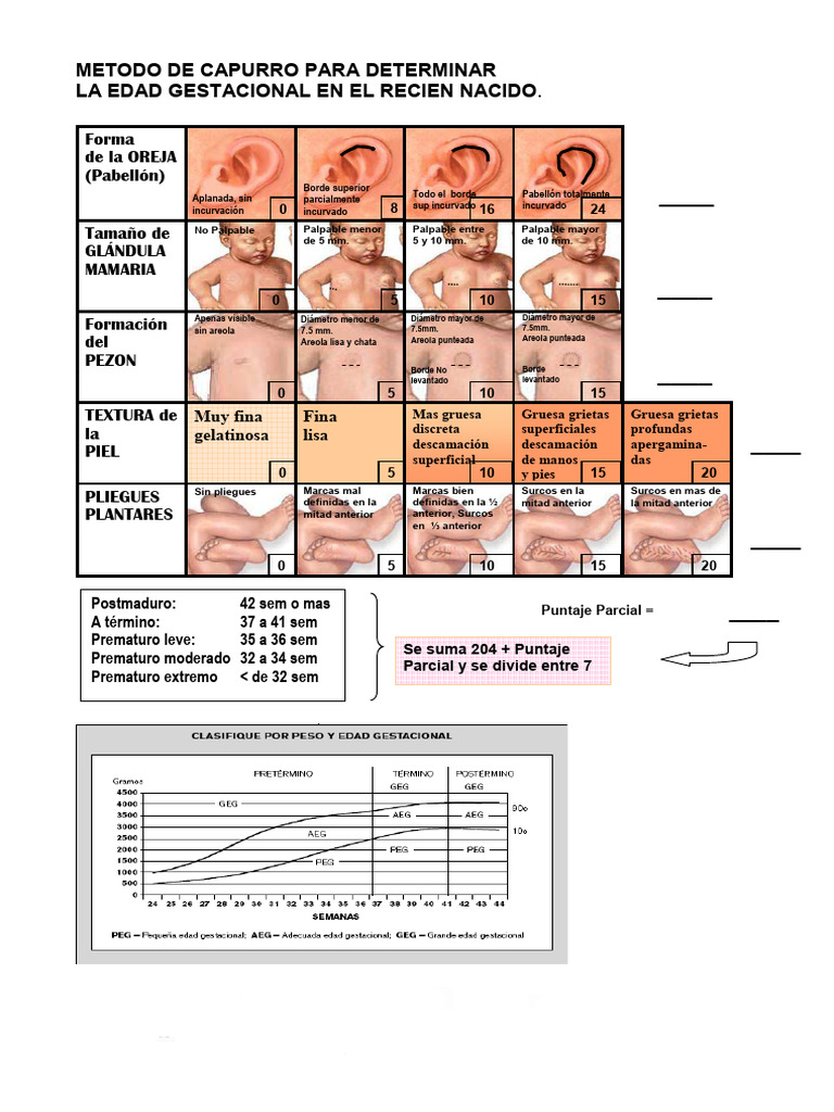 Test de Capurro | PDF | Características sexuales secundarias | Pecho