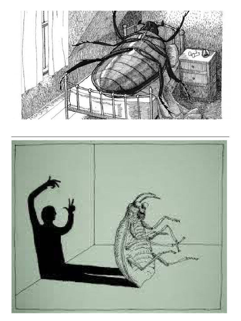 la metamorfosis más imagenes | PDF