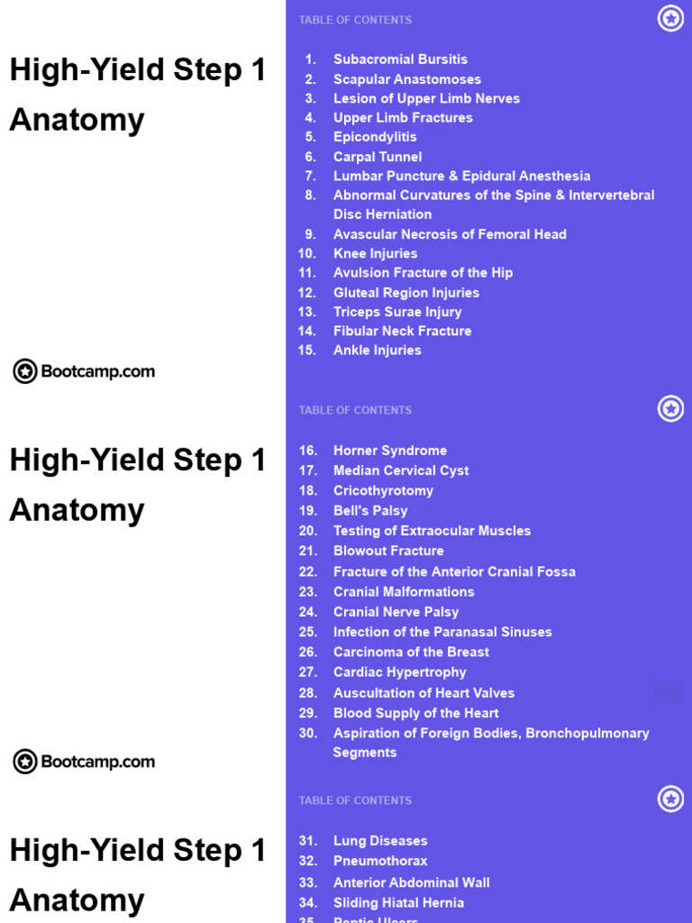 High-Yield Step 1 Anatomy | PDF | Human Leg | Knee