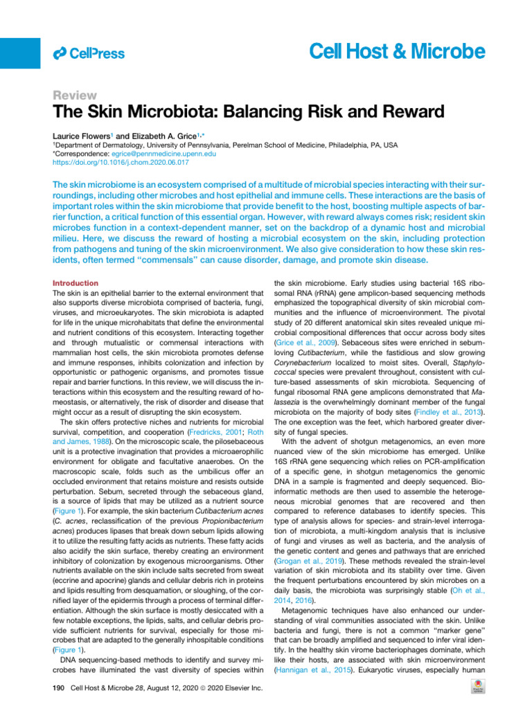 The Skin Microbiota | PDF | Microbiota | Staphylococcus Aureus