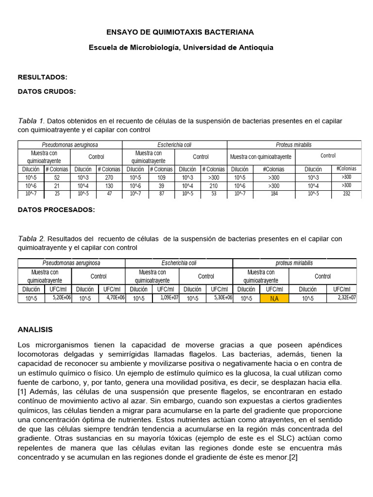 Informe Quimitaxis | PDF | Las bacterias | Bioquímica