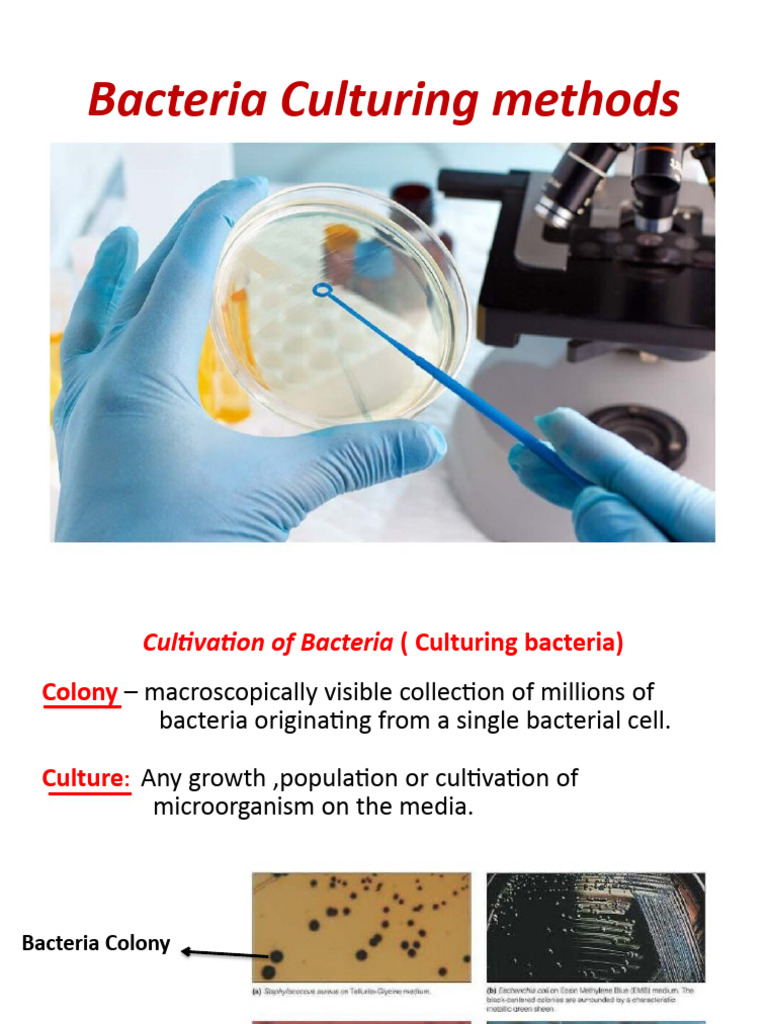 Culture Method Lab3 Pdf Wellness Science And Mathematics