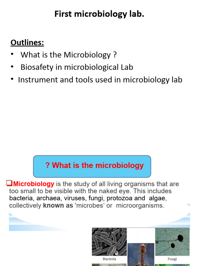 1st Lab Introduction of Microbiology | PDF | Microbiology | Microorganism
