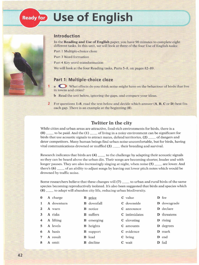English Twit | Download Free PDF | Birds | Noise