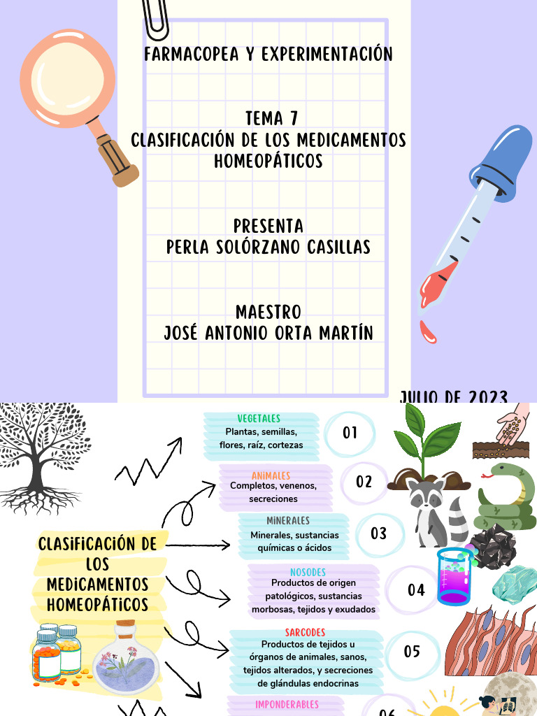 Tarea 7 Clasificacion de Los Medicamentos Homeopaticos | PDF | Medicamentos con receta | Homeopatía