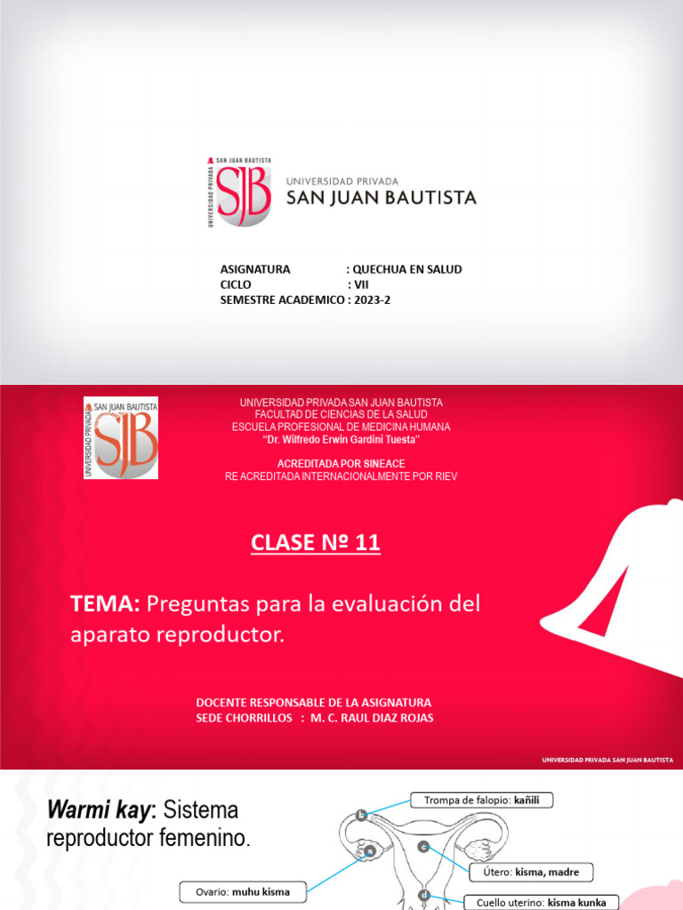 11 Clase Quechua Evaluación Reproductor 2023-2 | PDF | Sistema ...