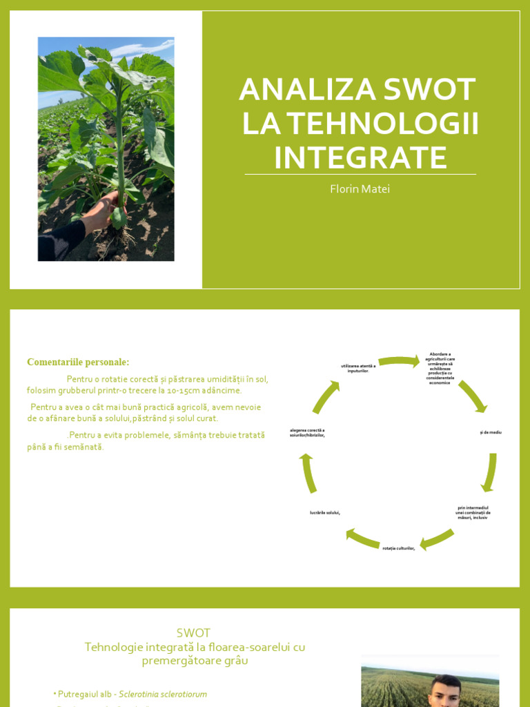 Analiza SWOT | PDF