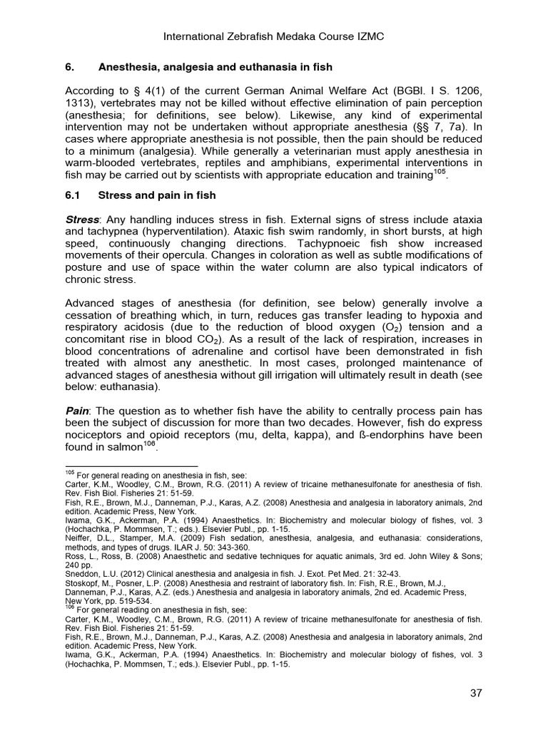 Theory Fish Anaesthesia | PDF | Anesthesia