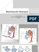 MR. SOPA: Ventilación en RCP Neonatal | PDF | Reanimación ...