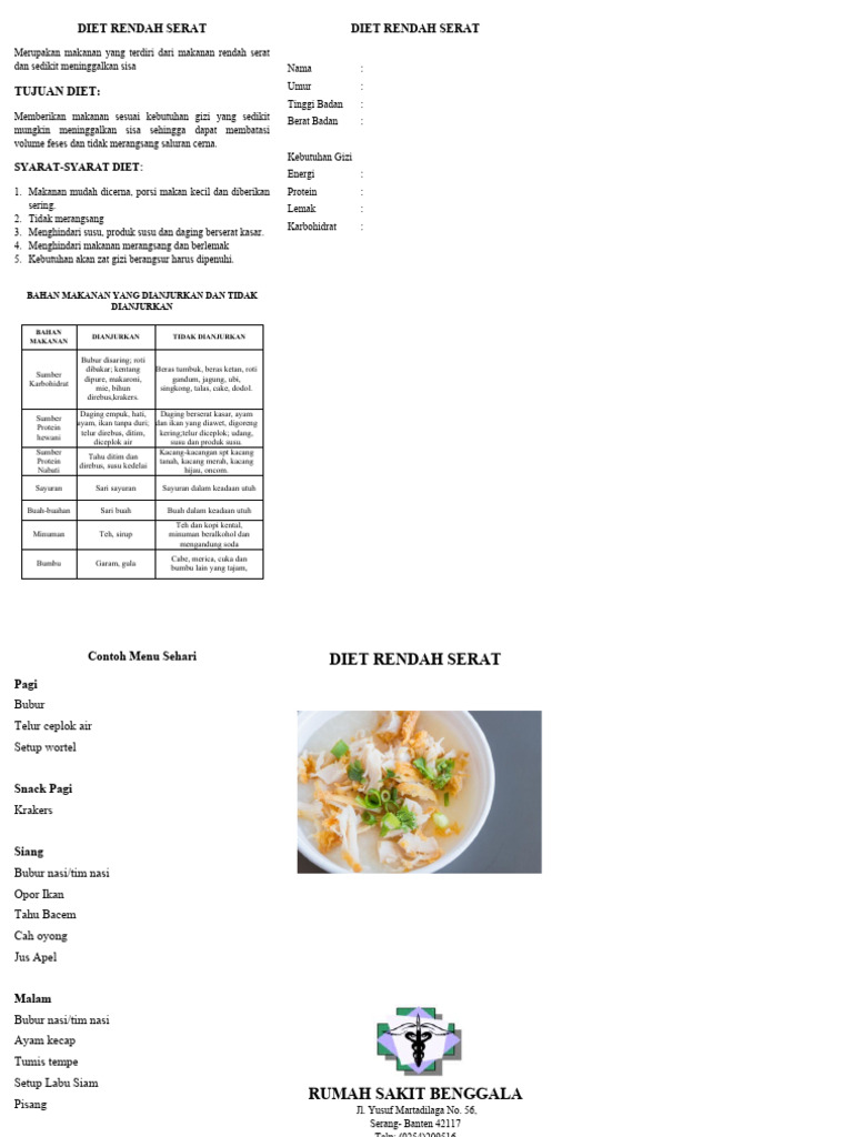 Diet Rendah Serat | PDF