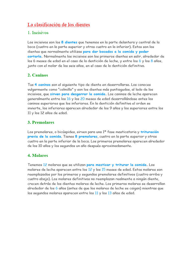 La Clasificación de Los Dientes | PDF | Diente | Esmalte de dientes