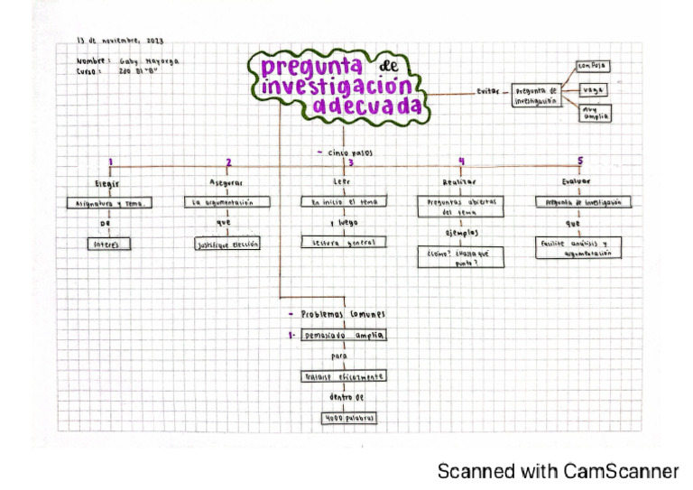 Mapa Conceptual. Pregunta de Investigaci | PDF