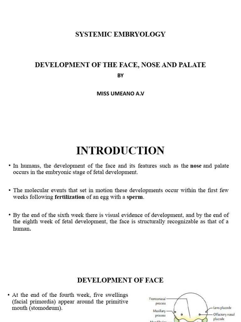 Embryonic Development of Face and Palate | PDF | Human Nose | Lip