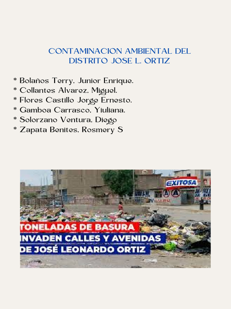 Collage Contaminacion Ambiental | PDF