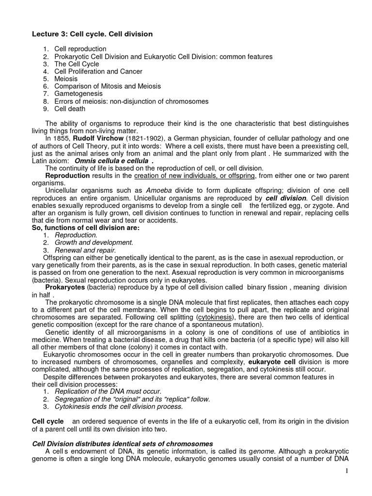 Lecture 3 Cell Division | PDF | Meiosis | Mitosis